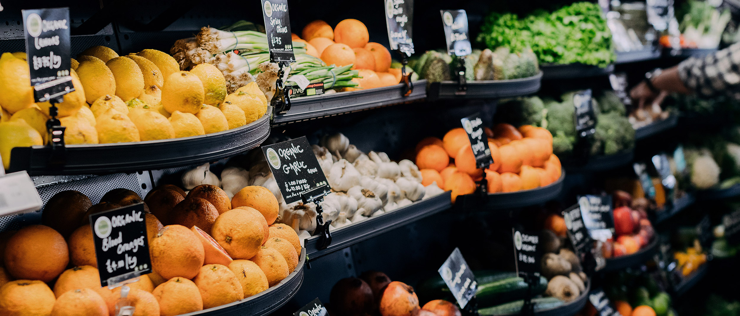 HL Display – Ratos